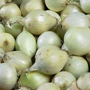 SNOWBALL dughagyma 250g